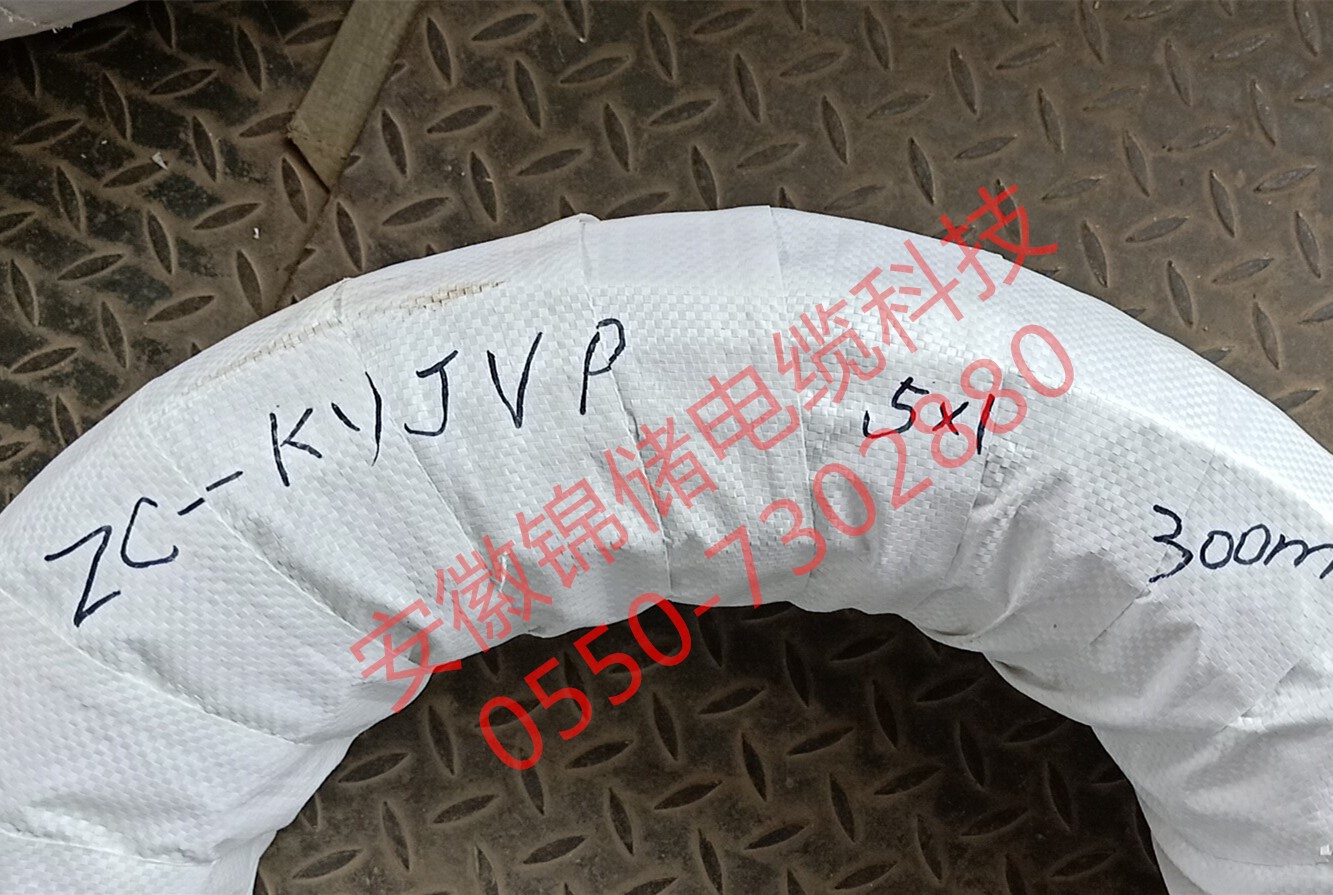 ZRC-DJYVP 计算机电缆_发热电缆生产厂家|行车扁平电缆|螺旋弹簧电缆-安徽锦储电缆科技有限公司